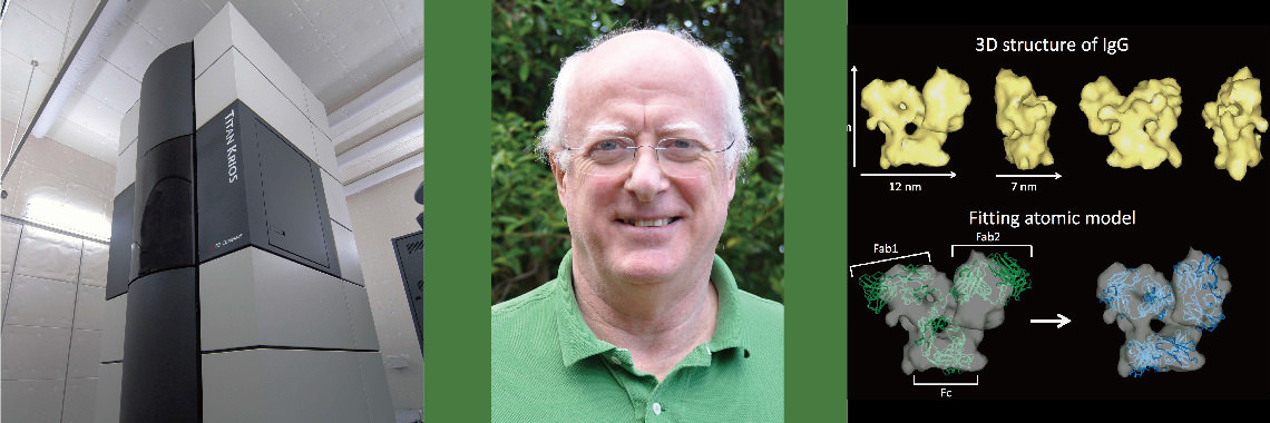 Skoglund Molecule Figure.jpg | Okinawa Institute of Science and Technology OIST